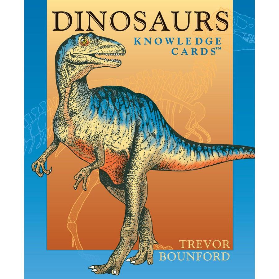 Dinosaur Knowledge Cards – The Red Dog Gift Shop NZ